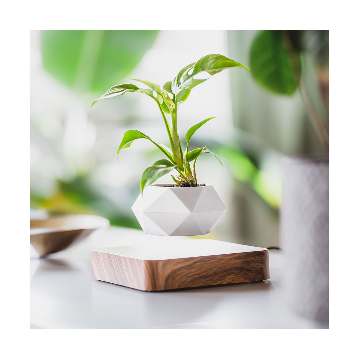 Floating plant pot store